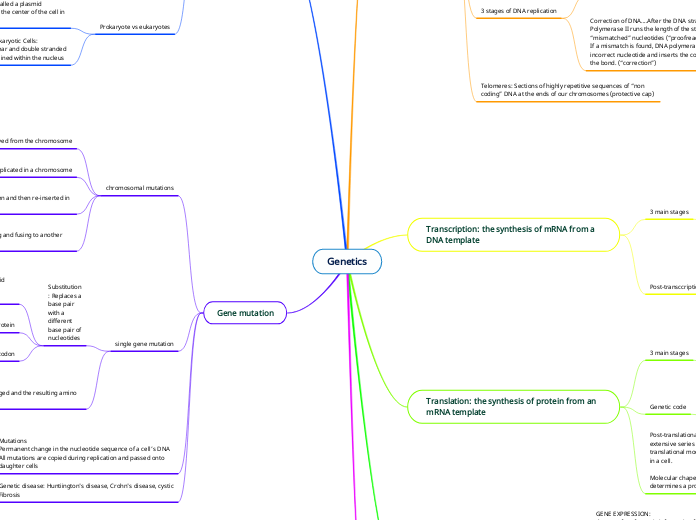 Genetics - Mind Map