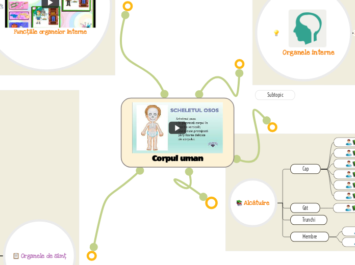 Corpul uman - Mind Map