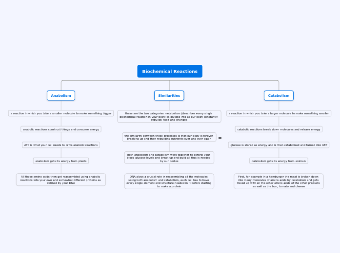Biochemical Reactions - Mind Map