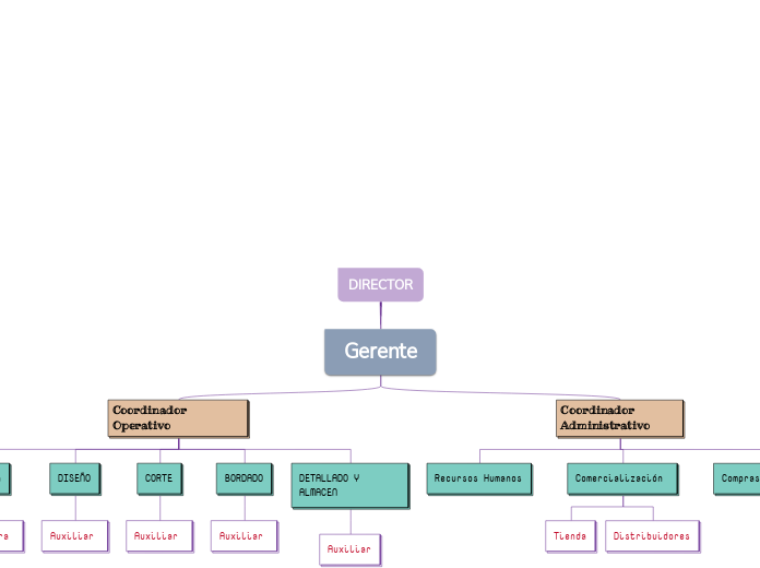 DIRECTOR - Mind Map