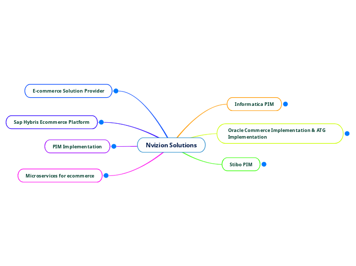 Nvizion Solutions - Mind Map