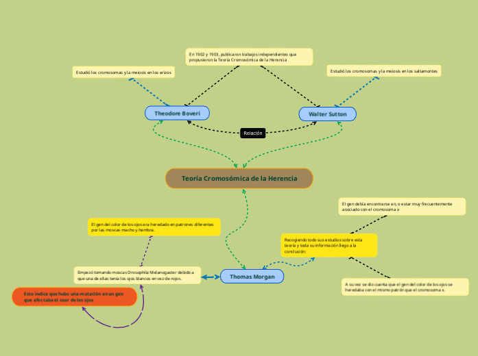 Teoría Cromosómica de la Herencia - Mind Map