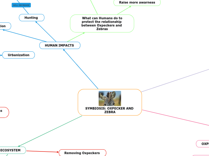 SYMBIOSIS: OXPECKER AND ZEBRA - Mind Map