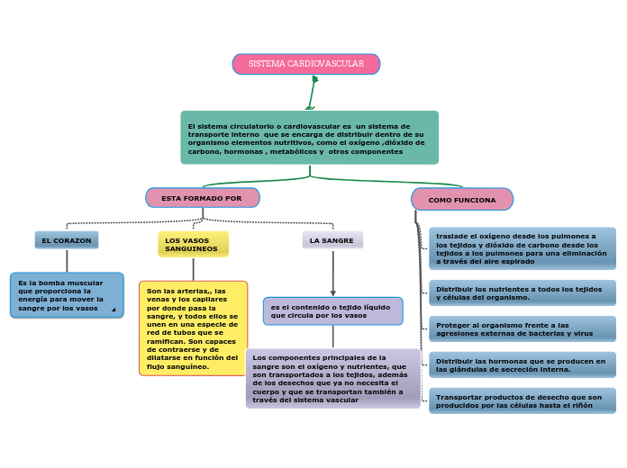 SISTEMA CARDIOVASCULAR - Mind Map