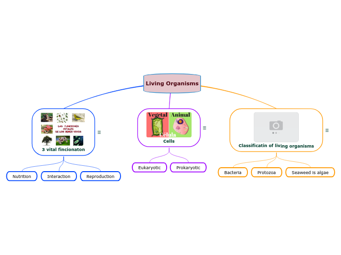 Living Organisms - Mind Map