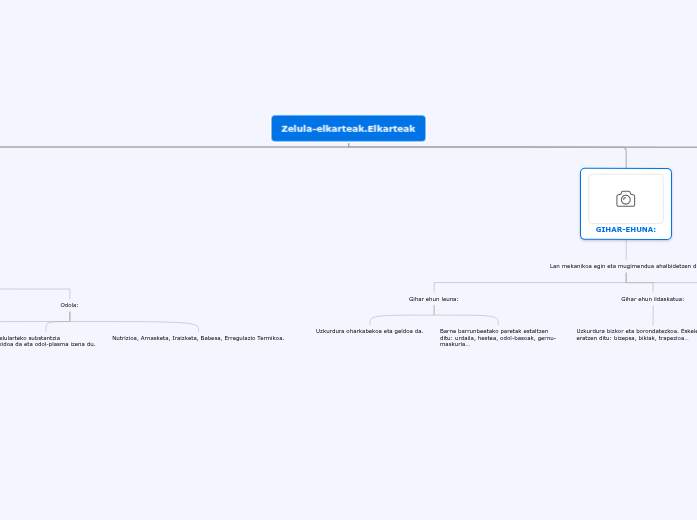 Mindomo ehunak sistemak eta aparatuak - Mind Map