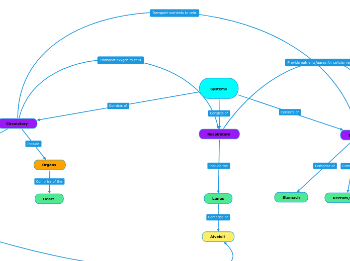 Systems - Mind Map