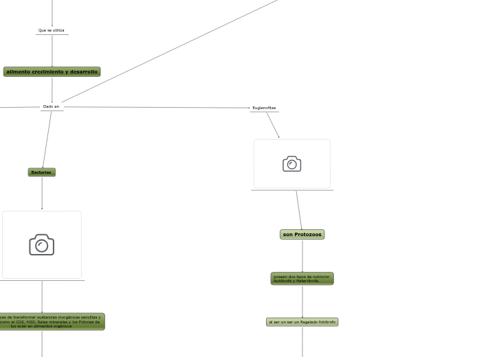 FOTOSINTESIS - Mind Map