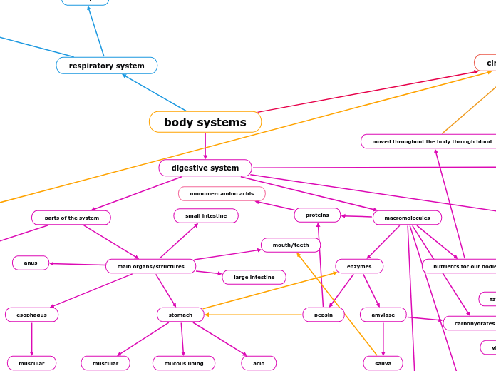 body systems - Mind Map