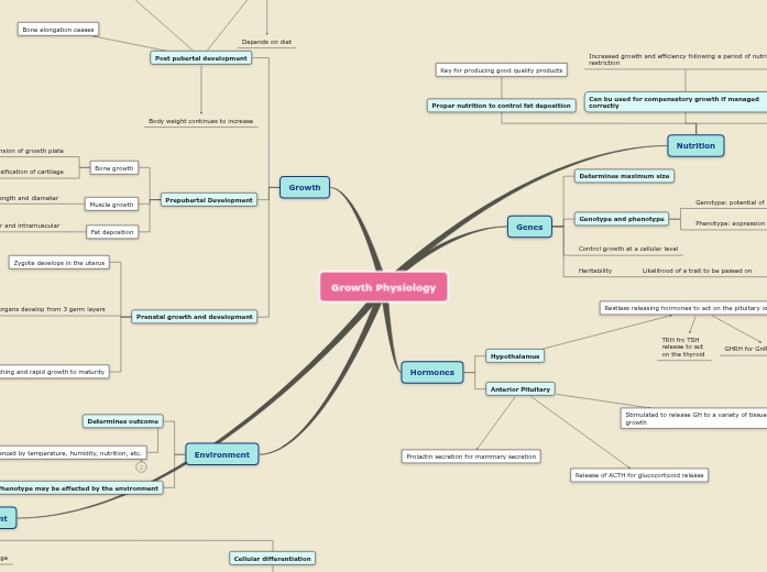 Sample Mind Map - Mind Map