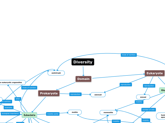 Diversity - Mind Map