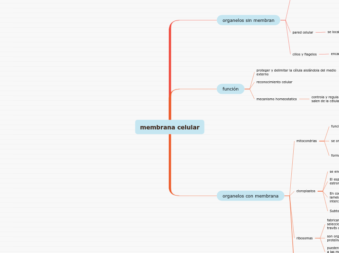 membrana celular - Mind Map