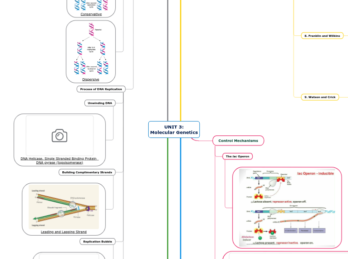 UNIT 3: Molecular Genetics - Mind Map