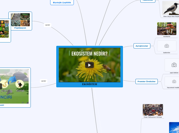 EKOSİSTEM - Mind Map