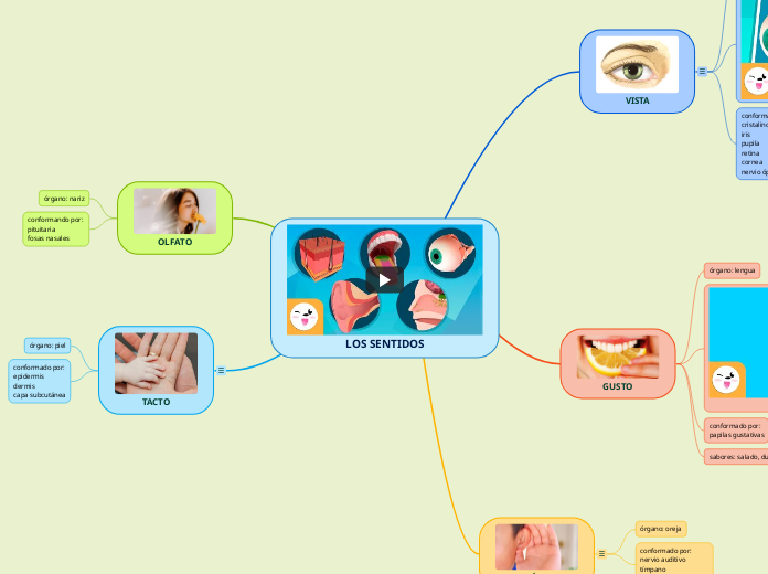 LOS SENTIDOS - Mind Map