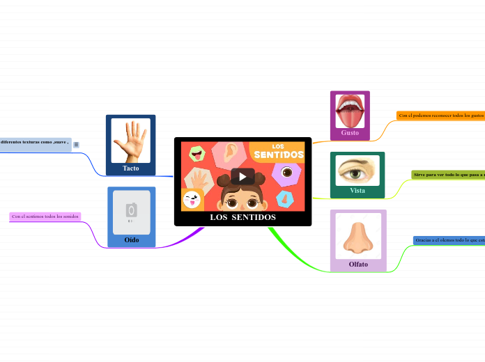 LOS SENTIDOS - Mind Map