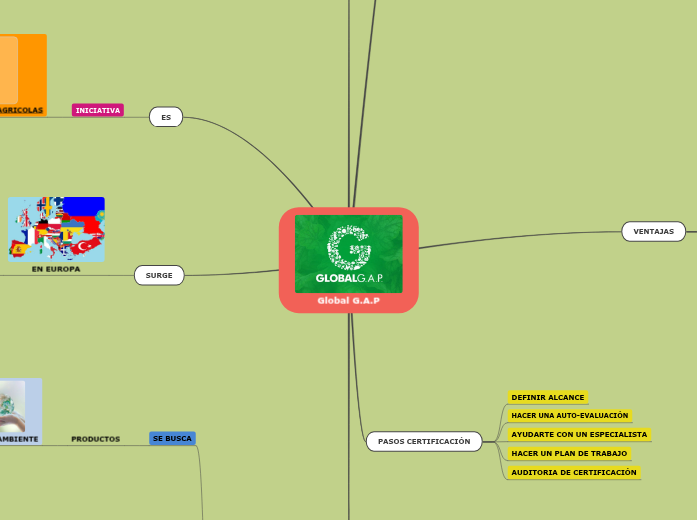 Global G.A.P - Mind Map