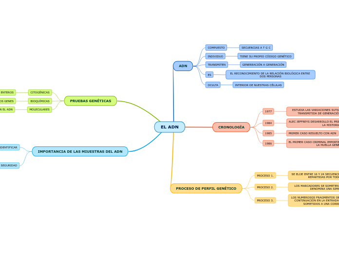 EL ADN - Mind Map