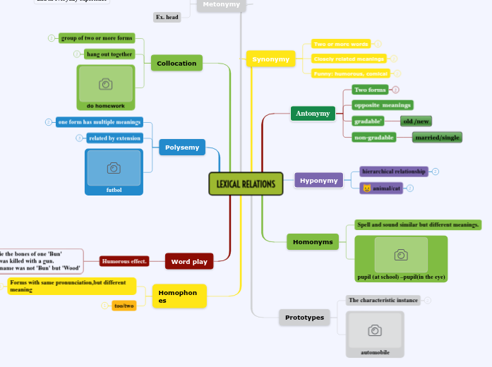 LEXICAL RELATIONS - Mind Map