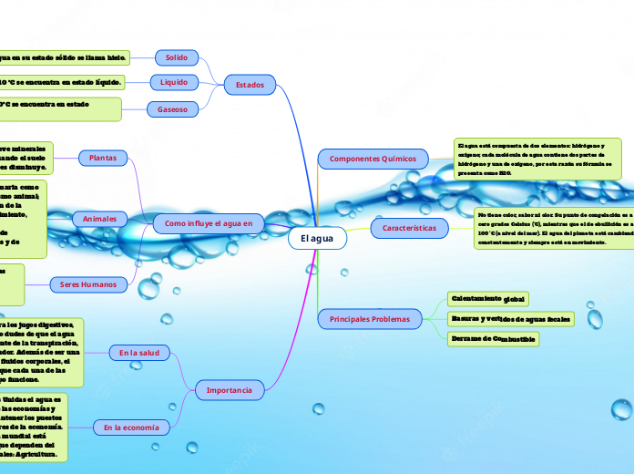 El agua - Mind Map