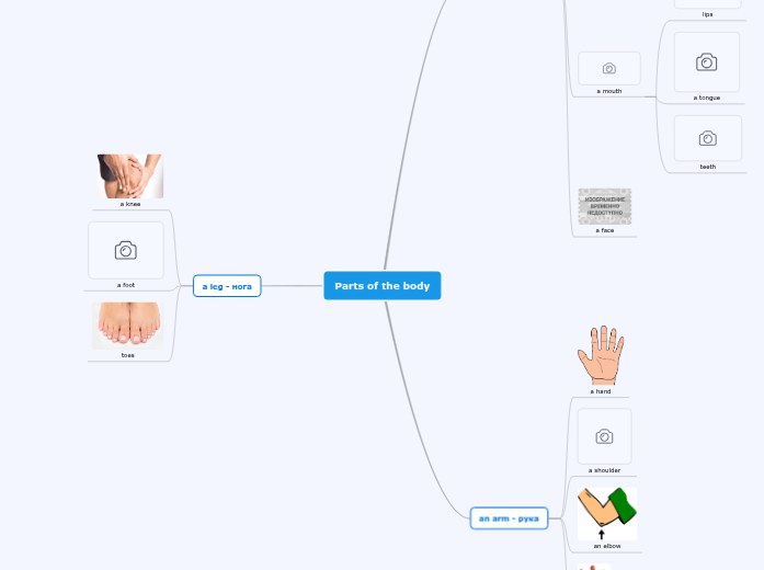 Parts of the body - Mind Map