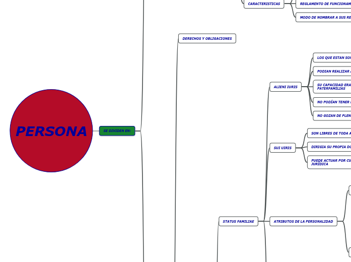 PERSONA - Concept Map