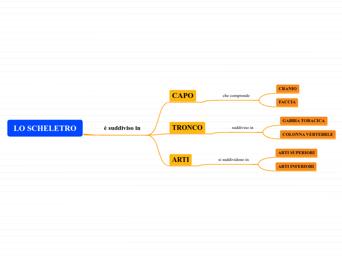LO SCHELETRO - Mind Map