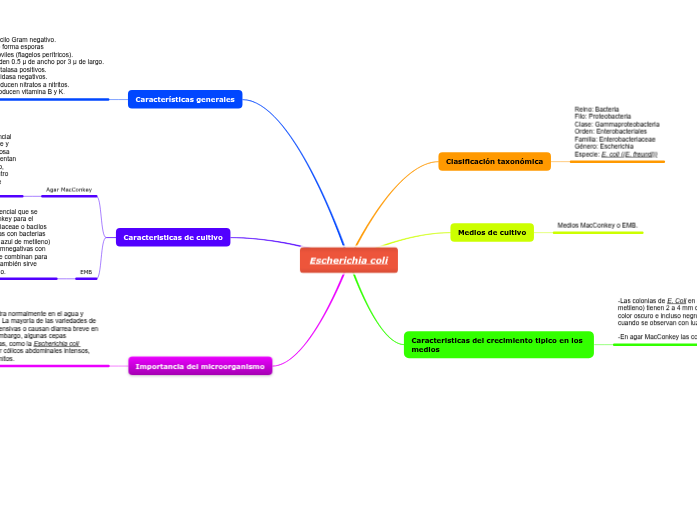 Escherichia coli - Mind Map