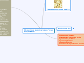 Inyeccion de plastico - Mind Map