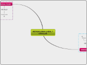 METABOLISMO LINEAL Y CIRCULAR - Mind Map