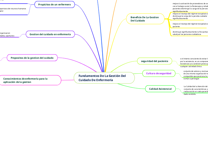 Fundamentos De La Gestión Del Cuidado De E...- Mind Map