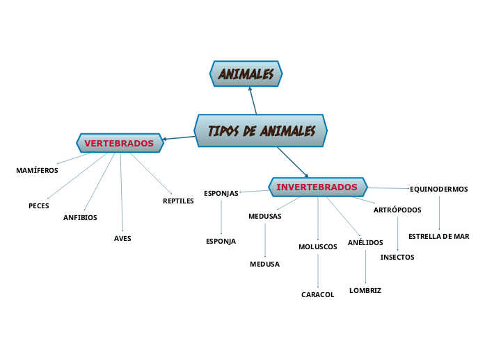 TIPOS DE ANIMALES - Mind Map