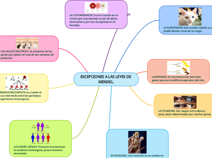 EXCEPCIONES A LAS LEYES DE MENDEL. - Mind Map