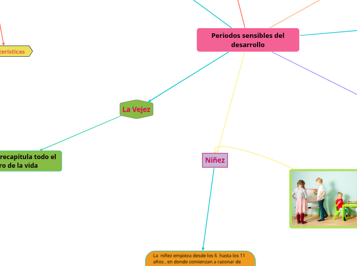 Periodos sensibles del desarrollo - Mind Map