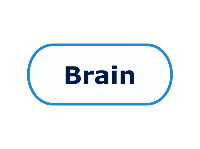 Brain - Mind Map