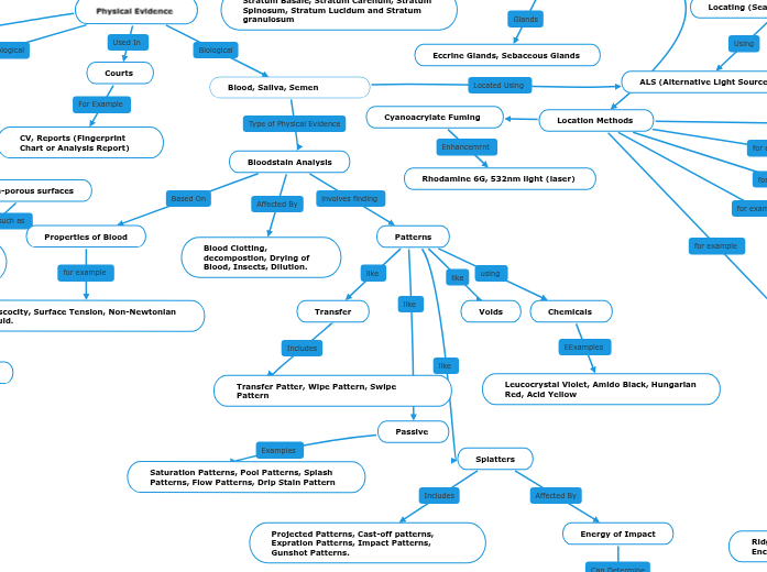 3- Dimentional Forensics - Mind Map