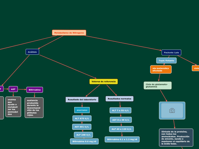 Metabolismo de Nitrogeno - Mind Map