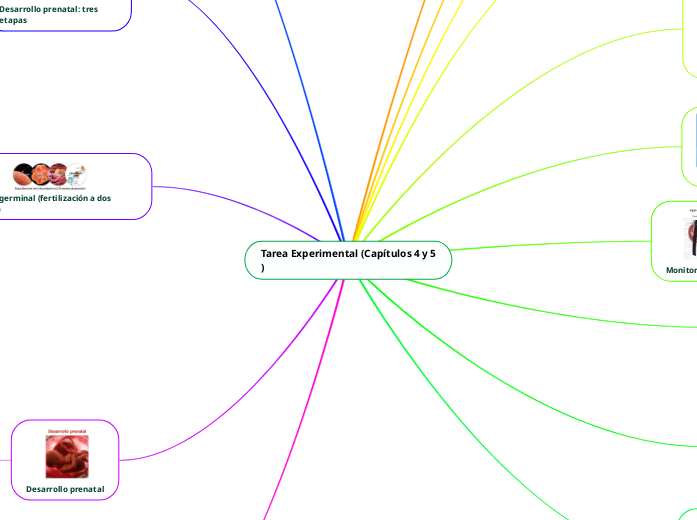 Tarea Experimental (Capítulos 4 y 5 ) - Mind Map