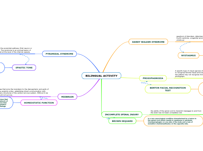 BILINGUAL ACTIVITY - Mind Map