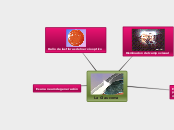 La Glaucoma - Mind Map