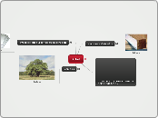 arbol - Mind Map