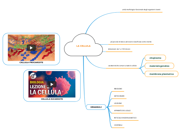 LA CELLULA - Mind Map