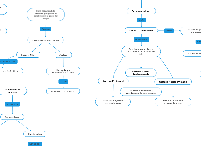 La Plasticidad Cerebral: Su cerebro cambia...- Mind Map