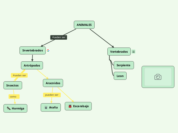ANIMALES - Mapa Mental - Amostra