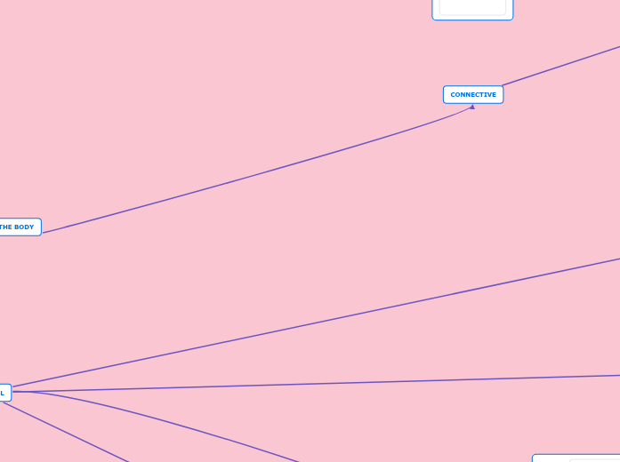 TISSUE TYPES IN THE BODY - Mind Map