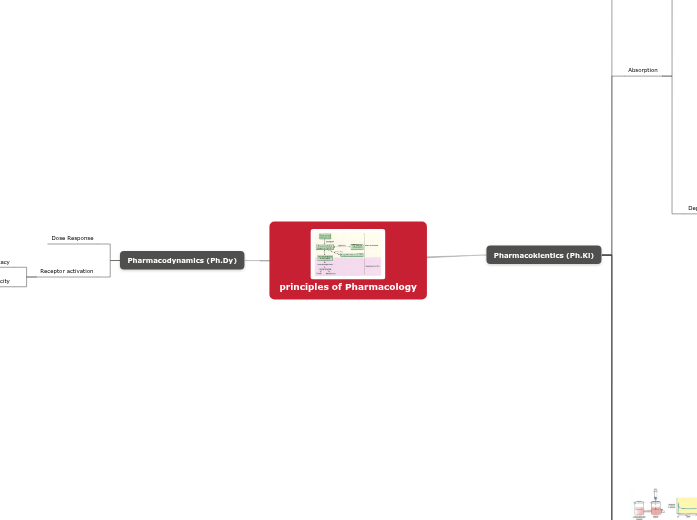 principles of Pharmacology - Mind Map