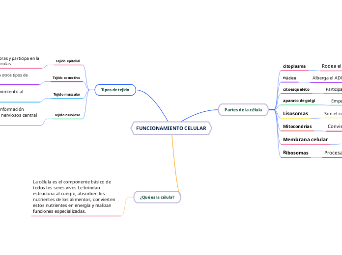 FUNCIONAMIENTO CELULAR - Mind Map
