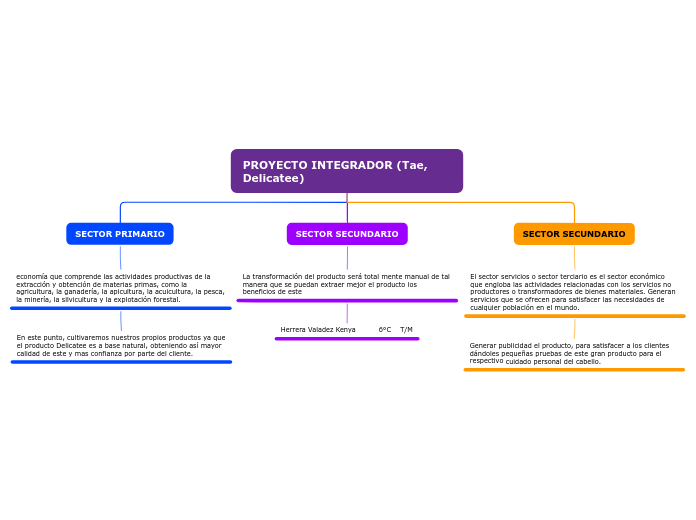 Proyecto Integrador - Mind Map