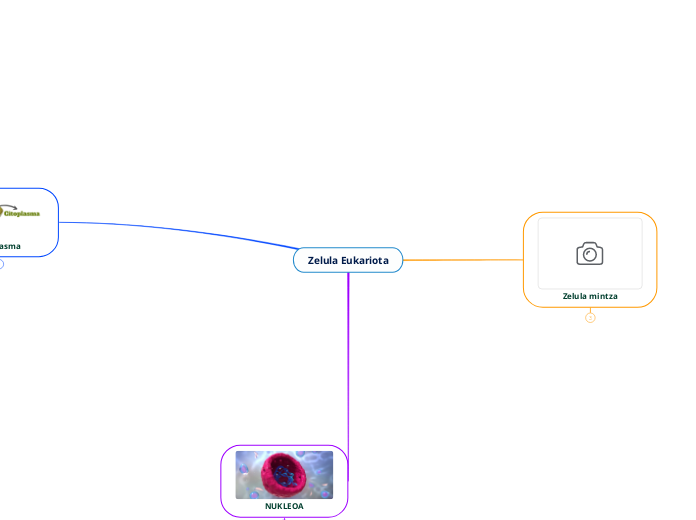 Zelula Eukariota - Mind Map