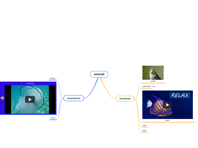 animali - Mind Map
